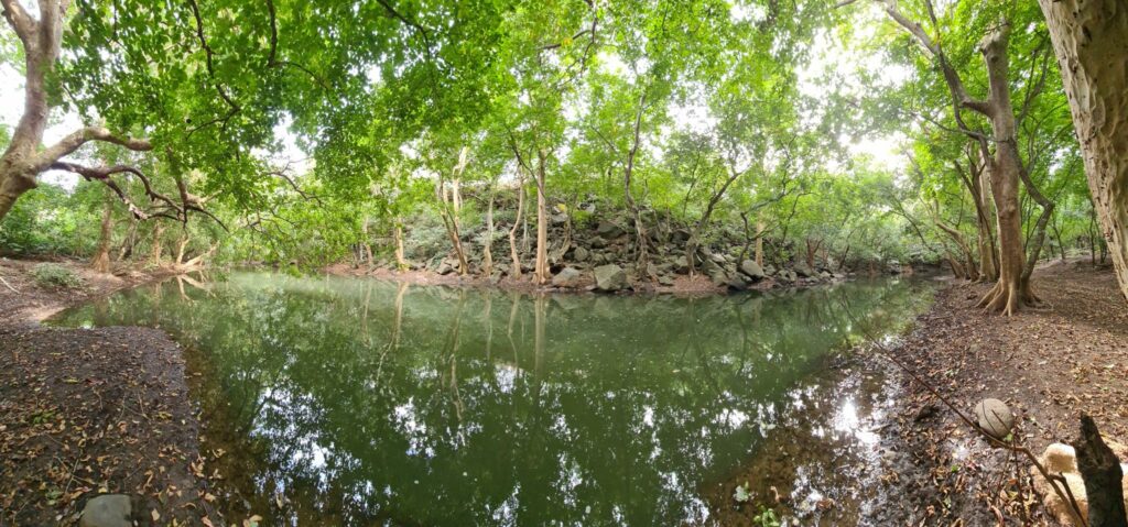 FOR SALE - Unique land of 7 acres has generous dimensions connected to ...