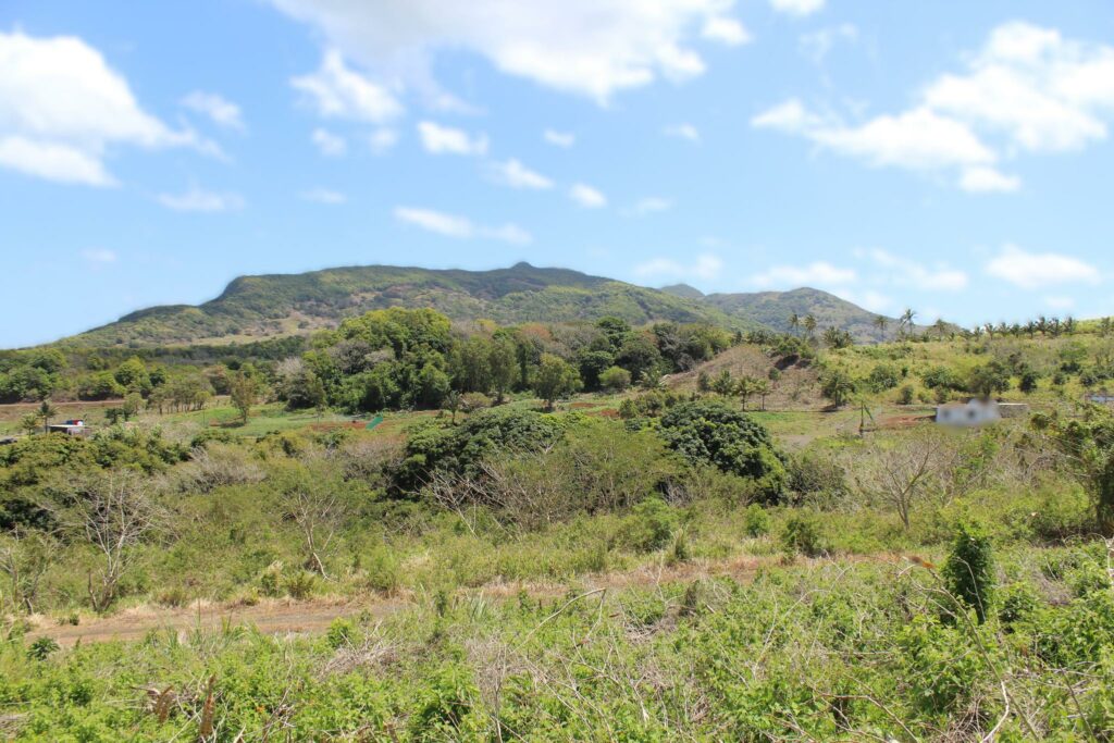 - Habitat Immobilier