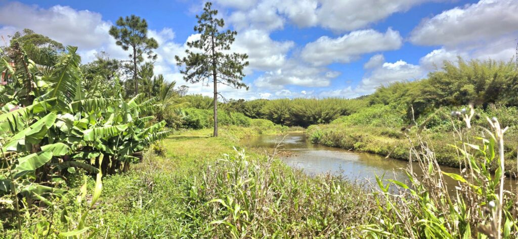 Discover this beautiful residential plot of 288 toises in Midlands ...